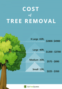 Tree Removal Cost > 2021 Guide | Prices to Cut Down Trees by Size