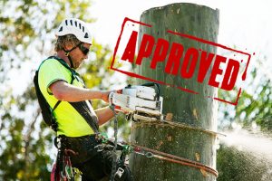 Tree Cutting Permits 2021| Questions Answered