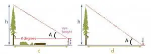 How to Measure A Tree - Height and diameter tricks