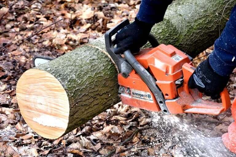 5 Ways To Get Land Cleared for Free: 2024 Guide