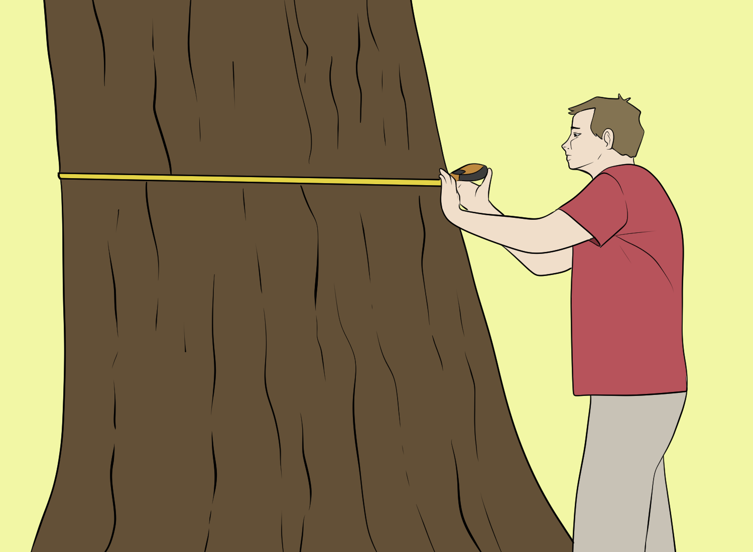 How to Tell the Age of a Tree - Without Cutting it Down How to Tell the Age of a Tree - Without Cutting it Down